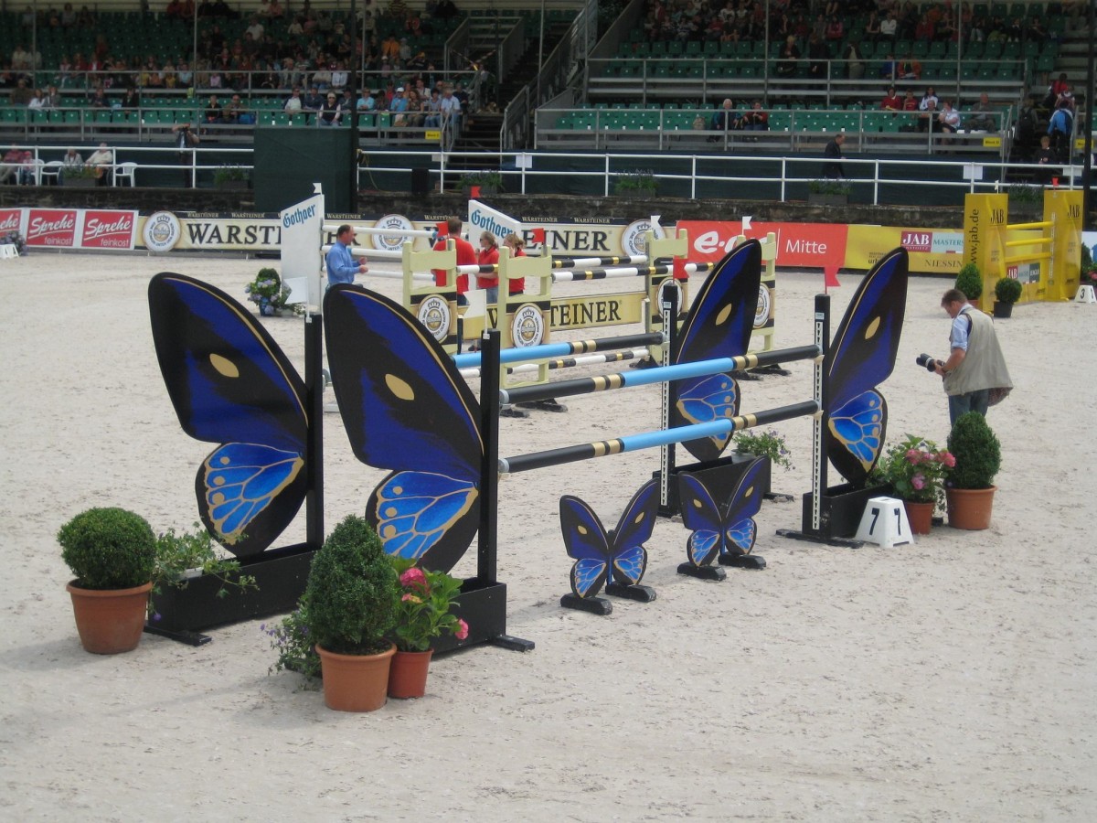 Jumps for International show jumping events - AEQZ Horse Equipment